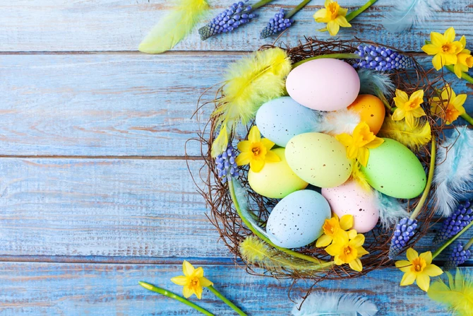 Easter Wiki Fandom