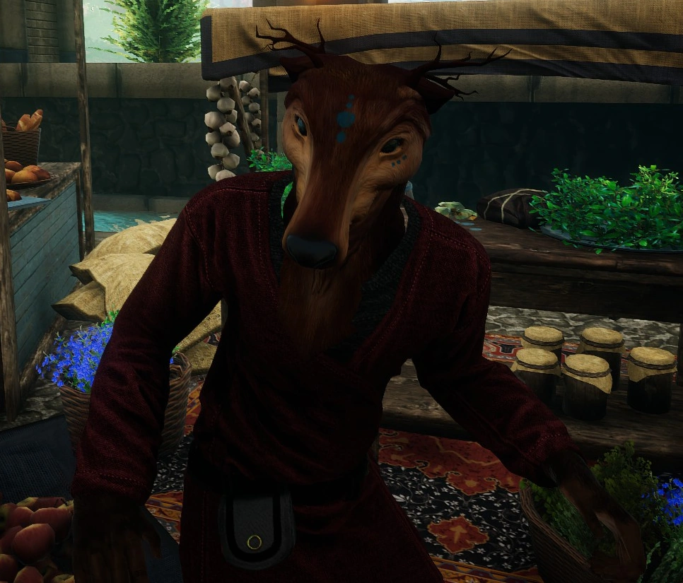 Tam | Eastshade Wiki | Fandom