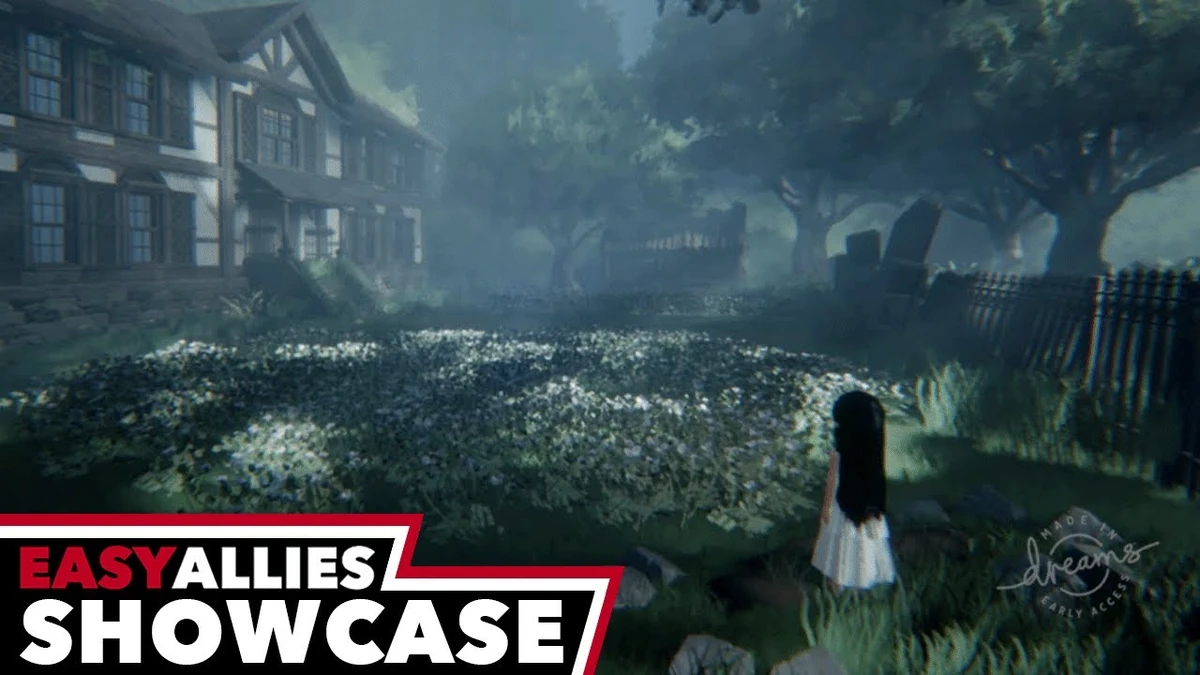 Developer Showcase | Easy Allies Wiki | Fandom