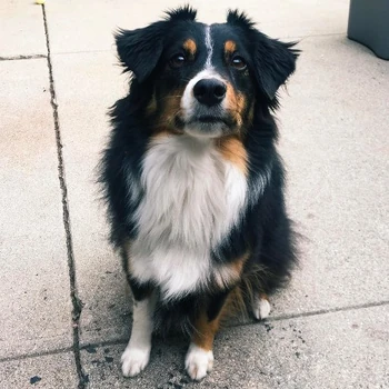 Sophie | Easy Allies Wiki | Fandom