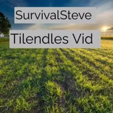 Tilendless Vid | Eateot Animations Wiki | Fandom