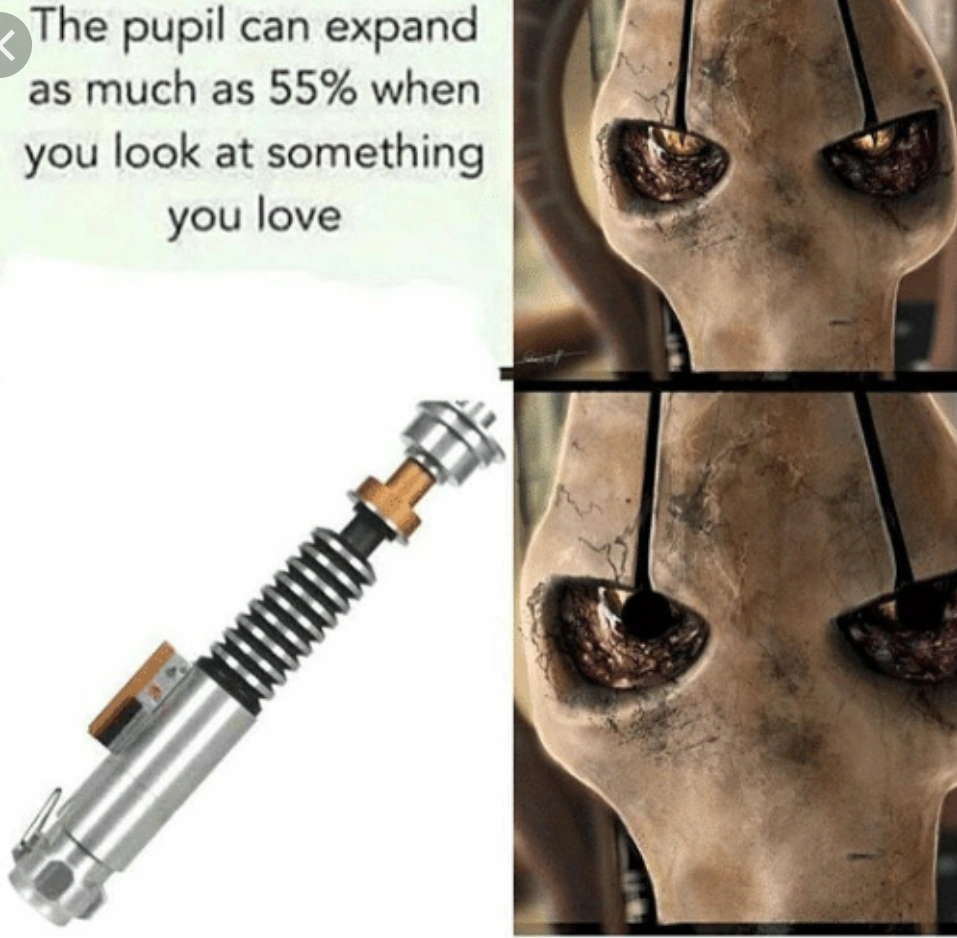 Random meme because, why not? | Fandom