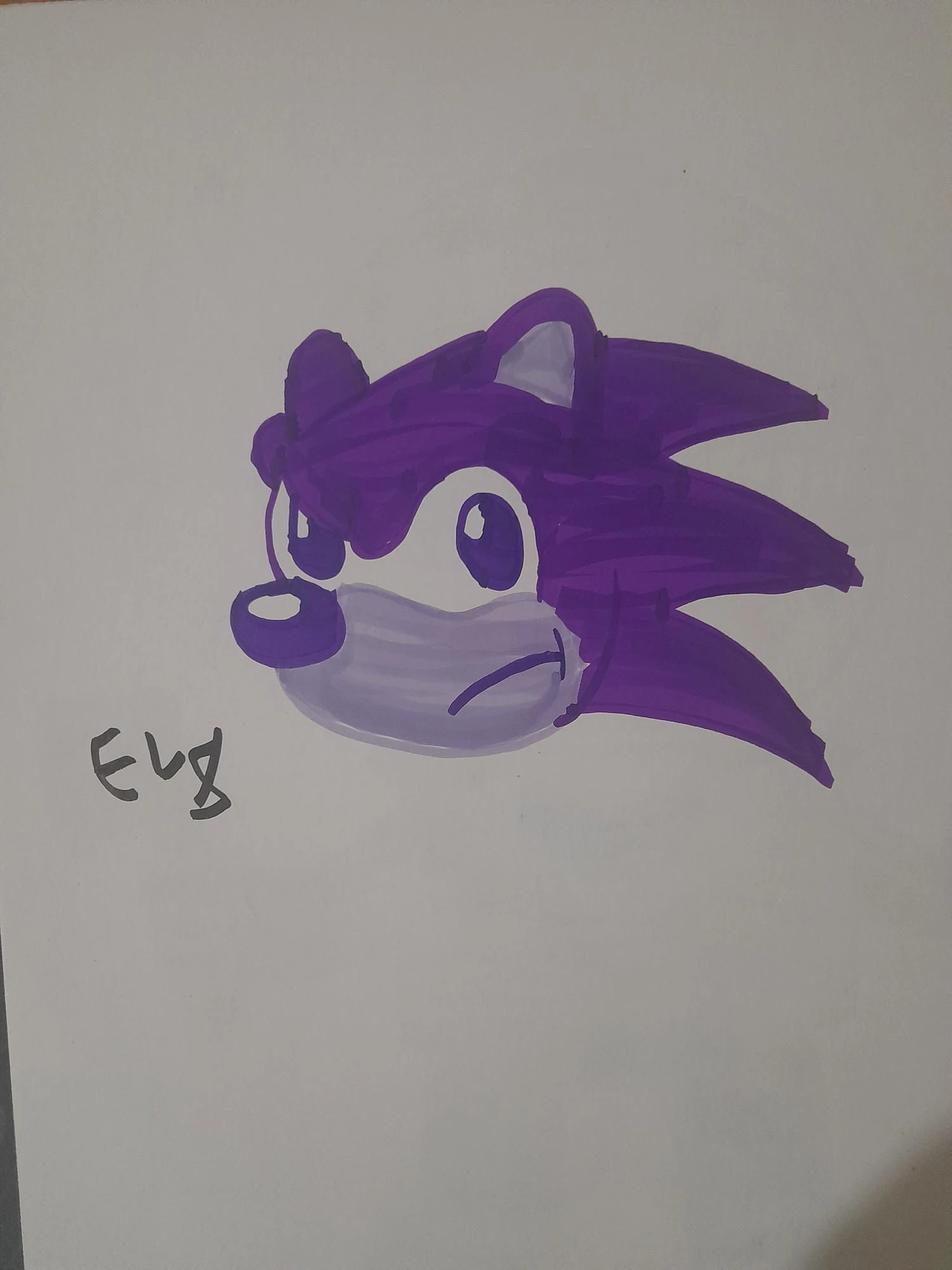 My drawing of Sonic using only purple | Fandom