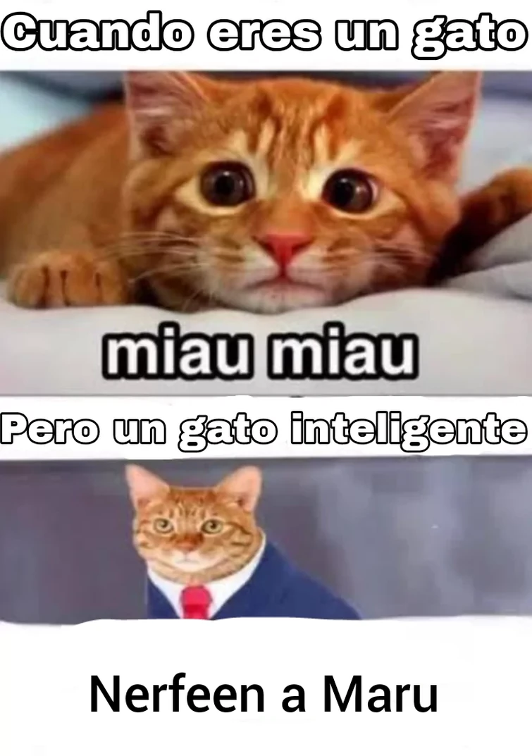 Maru se puso muy OP en este arco ojalá y lo nerfeen un poco en el ...