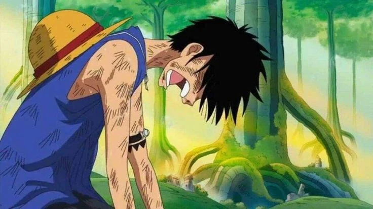 Sabaody Archipelago Arc - Episode 405 | Fandom