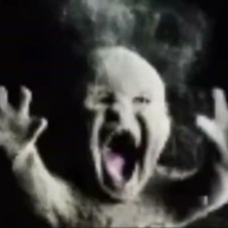 What have i done- | Fandom