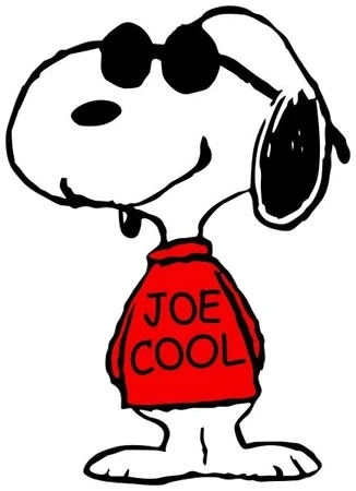 This is Joe Cool | Fandom