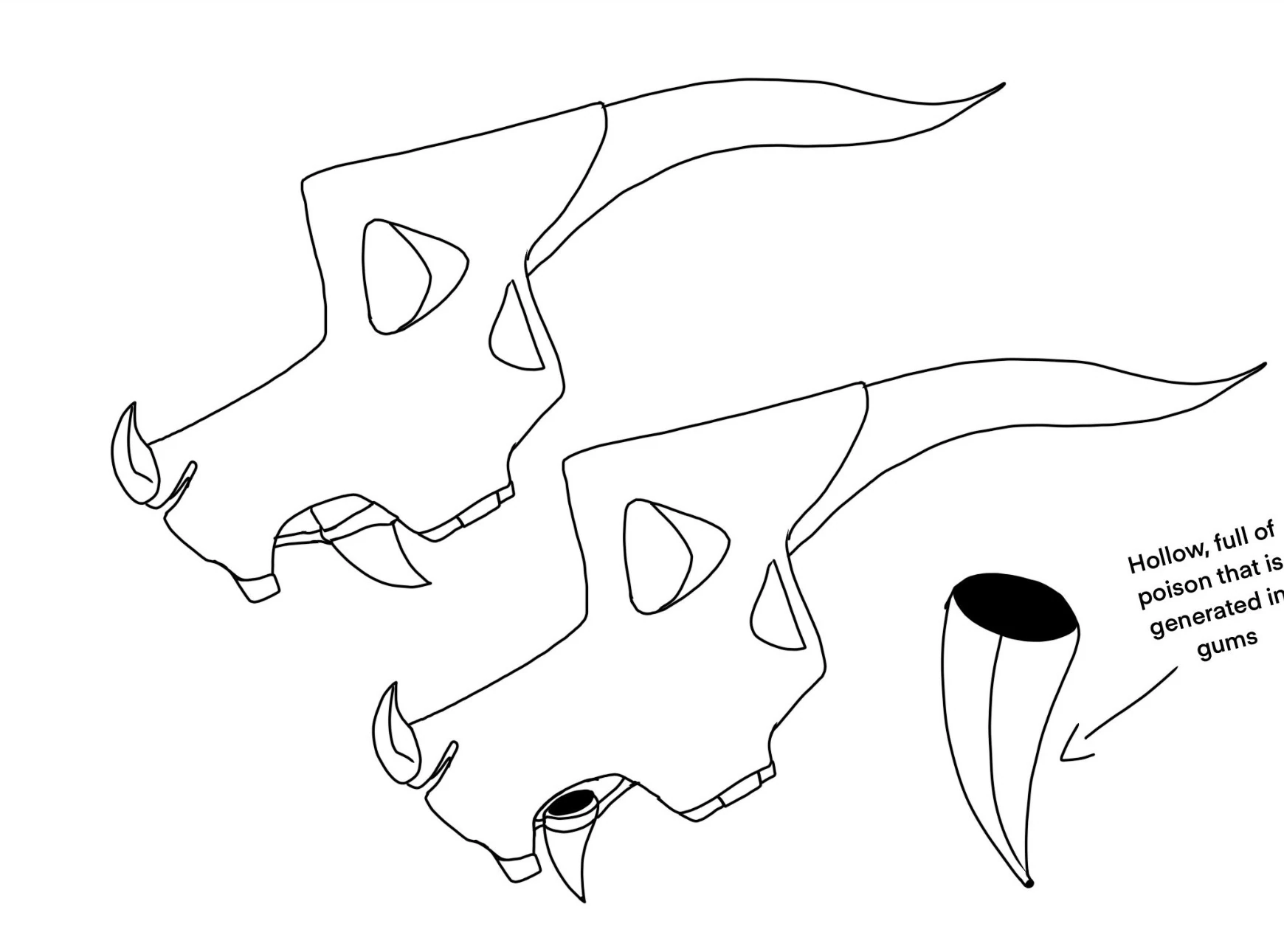 What`s the Science Behind Rainwing Venom? | Fandom