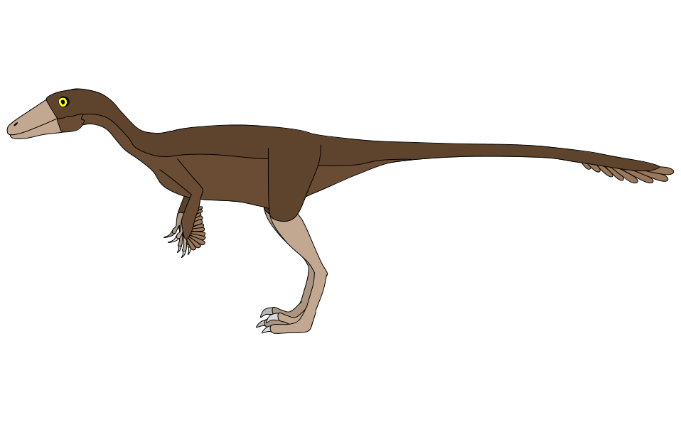Stenonychosaurus | Fandom