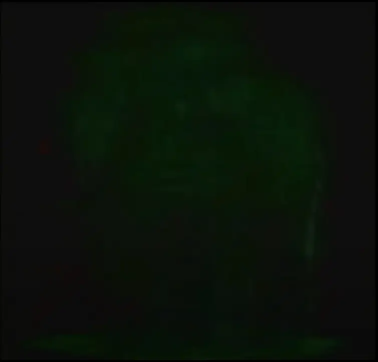 Why did CJ make phase 191 so low quality? | Fandom