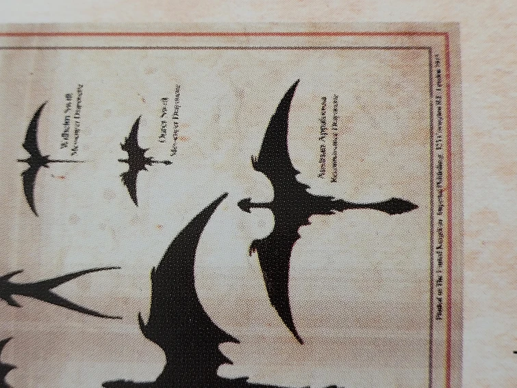 Discuss Everything About Dragons | Fandom