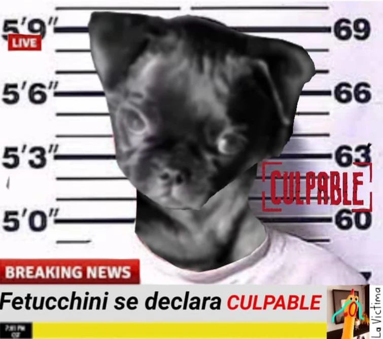 Noooooo! Fetuchini! | Fandom