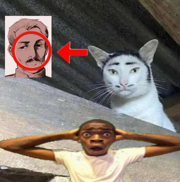 Welcome back Aran V | Fandom