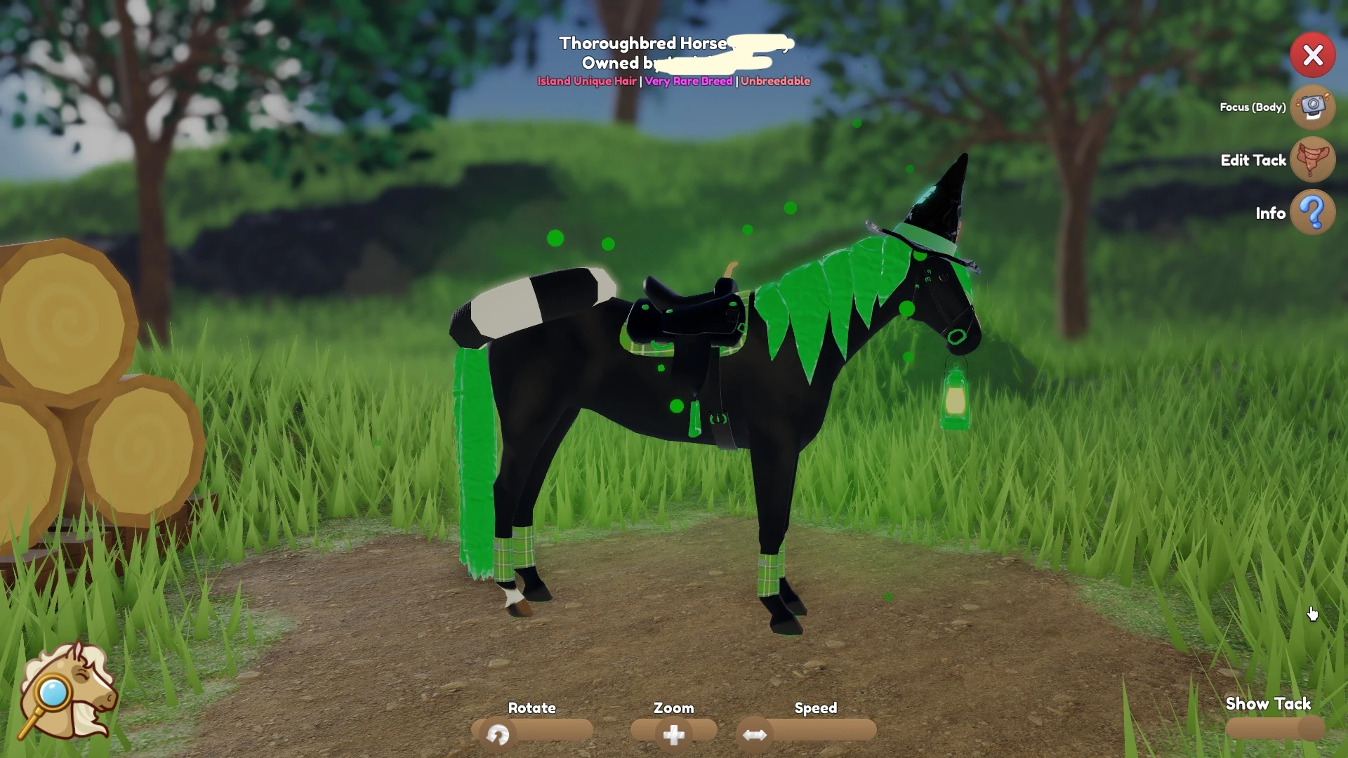 The tbs that need name ideas! ^^ | Fandom