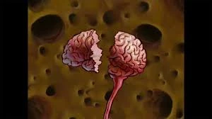 This is your brain on BFDI wiki. | Fandom