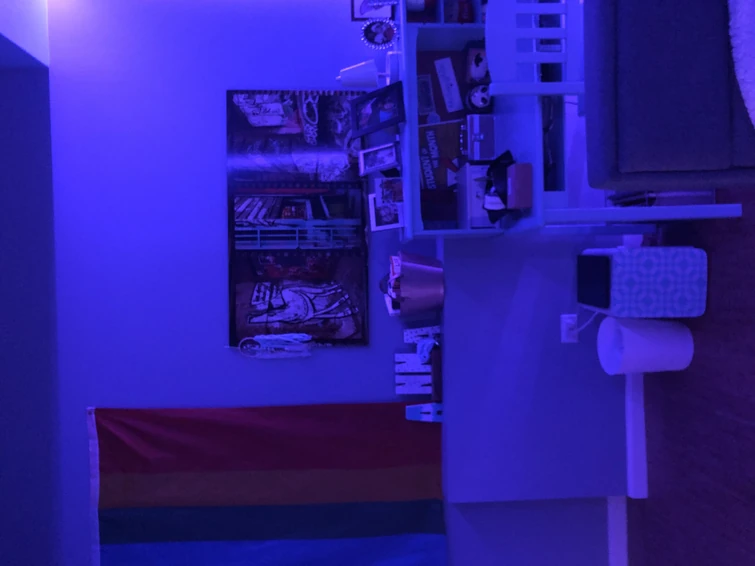 just redid my entire room! i was going for a dazecore aesthetic. how do ...