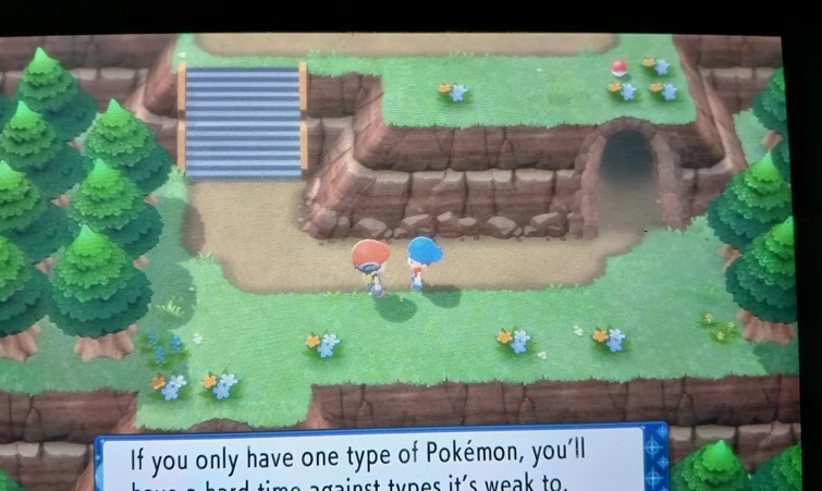 The Pokémon fandom playthrough death. It's getting better | Fandom