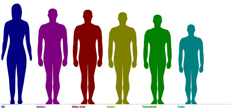 MY HEIGHT COMPARED TO DSMP MEMBERS | Fandom