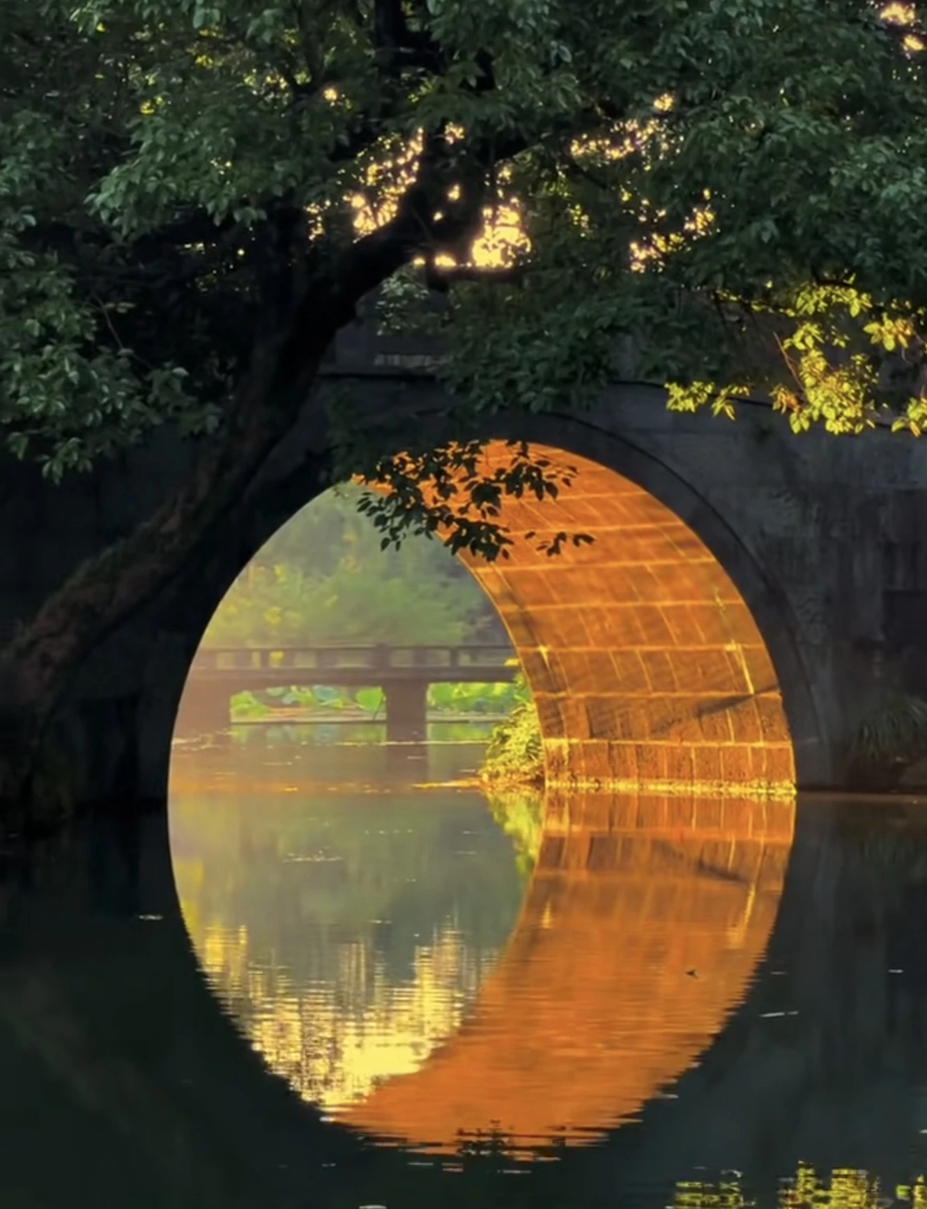 I love this image sm | Fandom