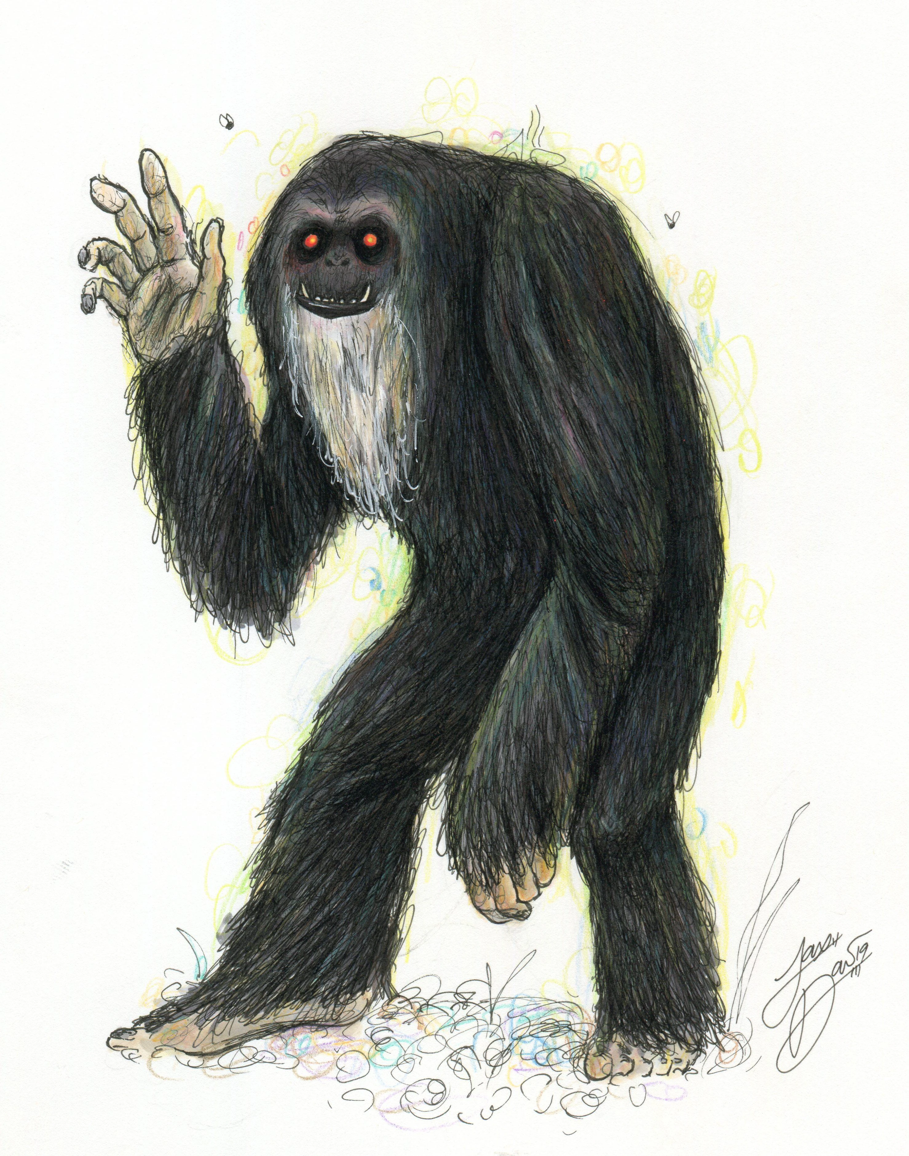 Kolowa and the Skunk Ape of the Southeastern US | Fandom