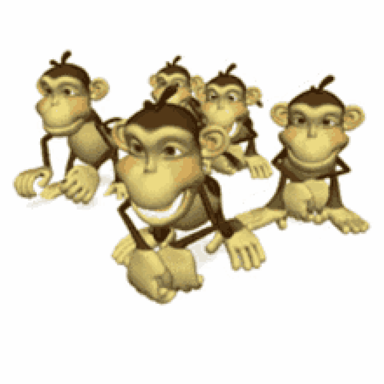 the monkeys are coming for you, hide | Fandom