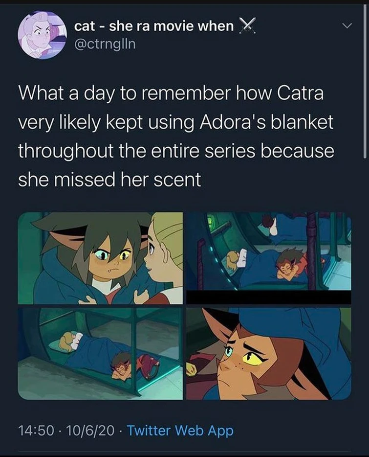 she ra memes? | Fandom