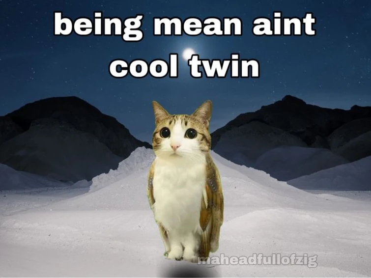 i giv moderators(admins,ect) a meowl as a gift(its optional) | Fandom