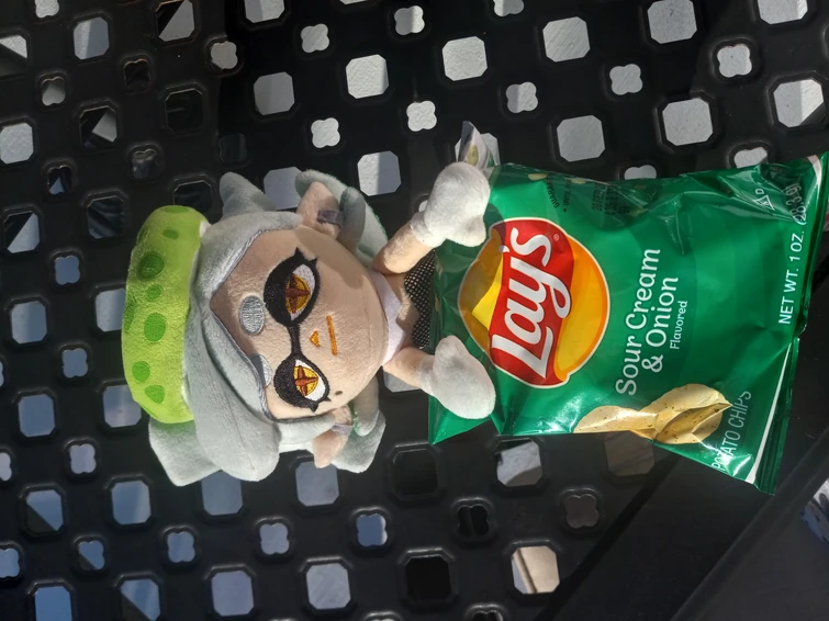 Marie plush photos I took to make u happy after losing | Fandom