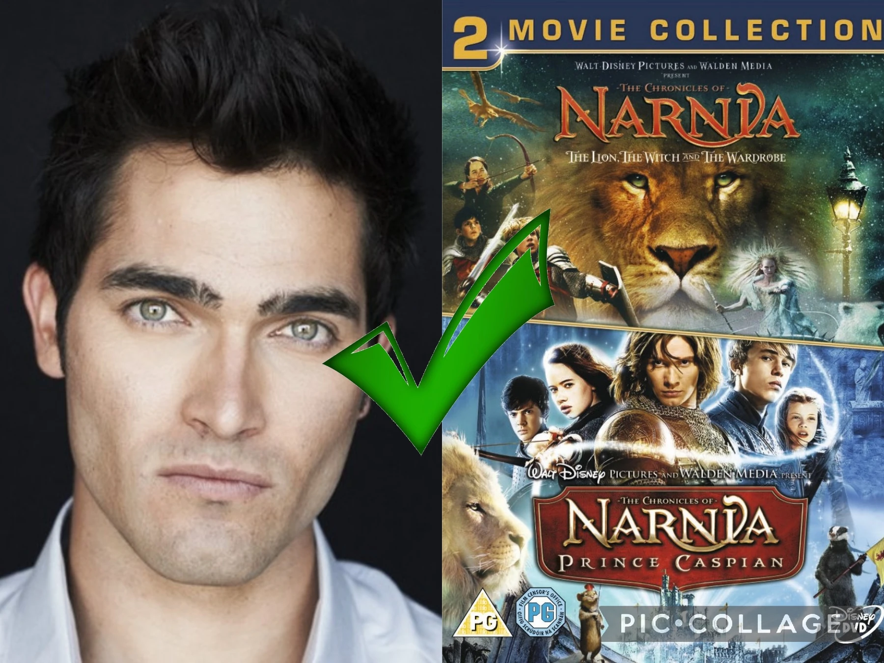 Yes, Tyler Hoechlin in The Chronicles of Narnia 1-2 2005-2008 Disney ...