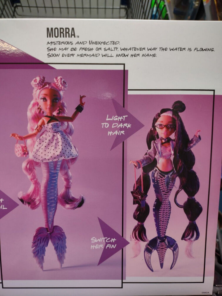 Discuss Everything About Mermaze Mermaidz Wiki | Fandom