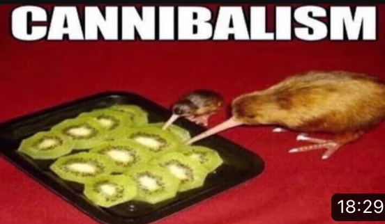 Imma sleep now | Fandom