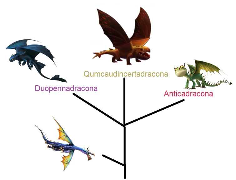 Dragon Classification Project- Part 2 | Fandom