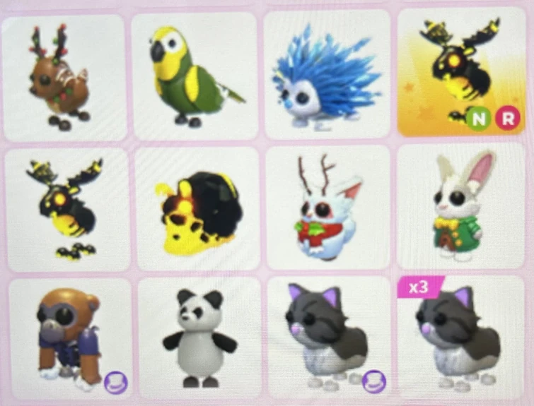 Discuss Everything About Adopt Me! Wiki | Fandom