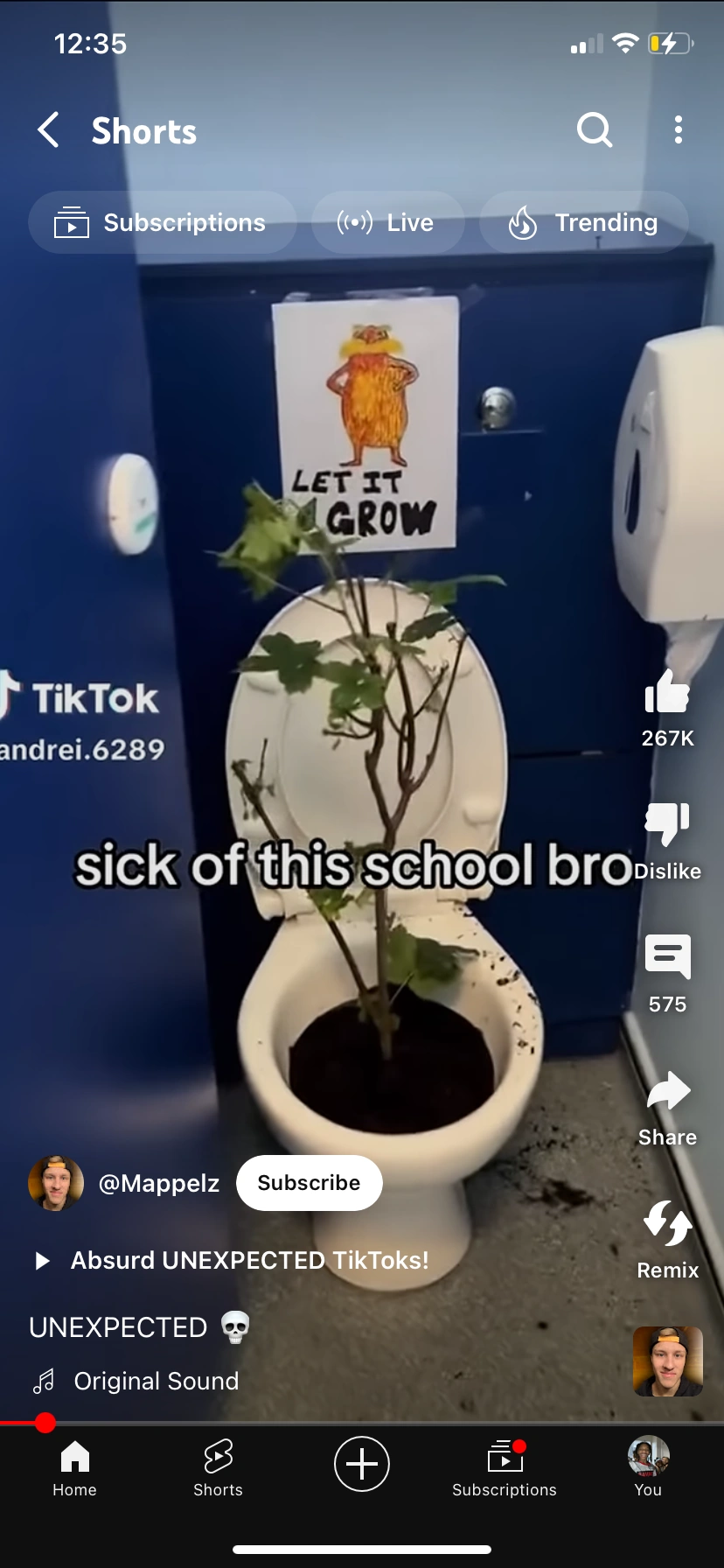 Let it Grow | Fandom