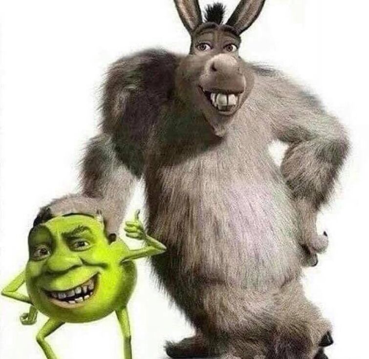 Shrek and Donkey + Mike Wazowski and James P. Sullivan = | Fandom