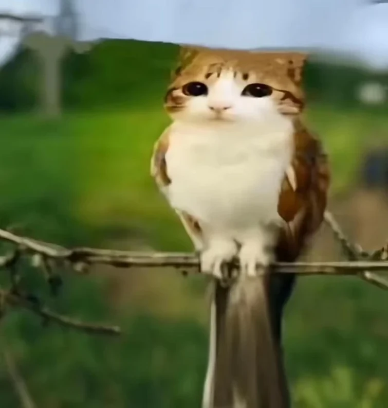 Show me your wallpaper | Fandom