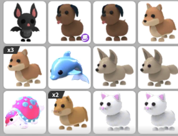 Discuss Everything About Adopt Me! Wiki | Fandom