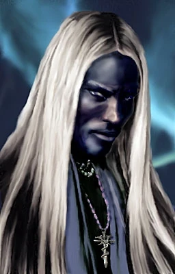 Selzin | Ebonfort Wikia | Fandom