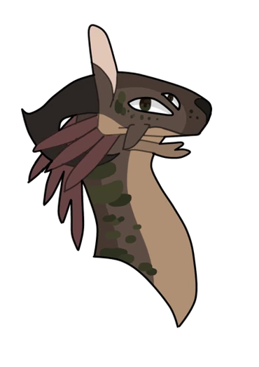 Discuss Everything About Wings of Fire Wiki | Fandom