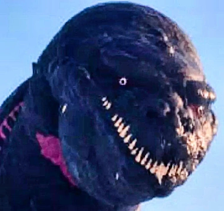 Don't mind me just here to give you your daily dose of Cursed Godzilla ...