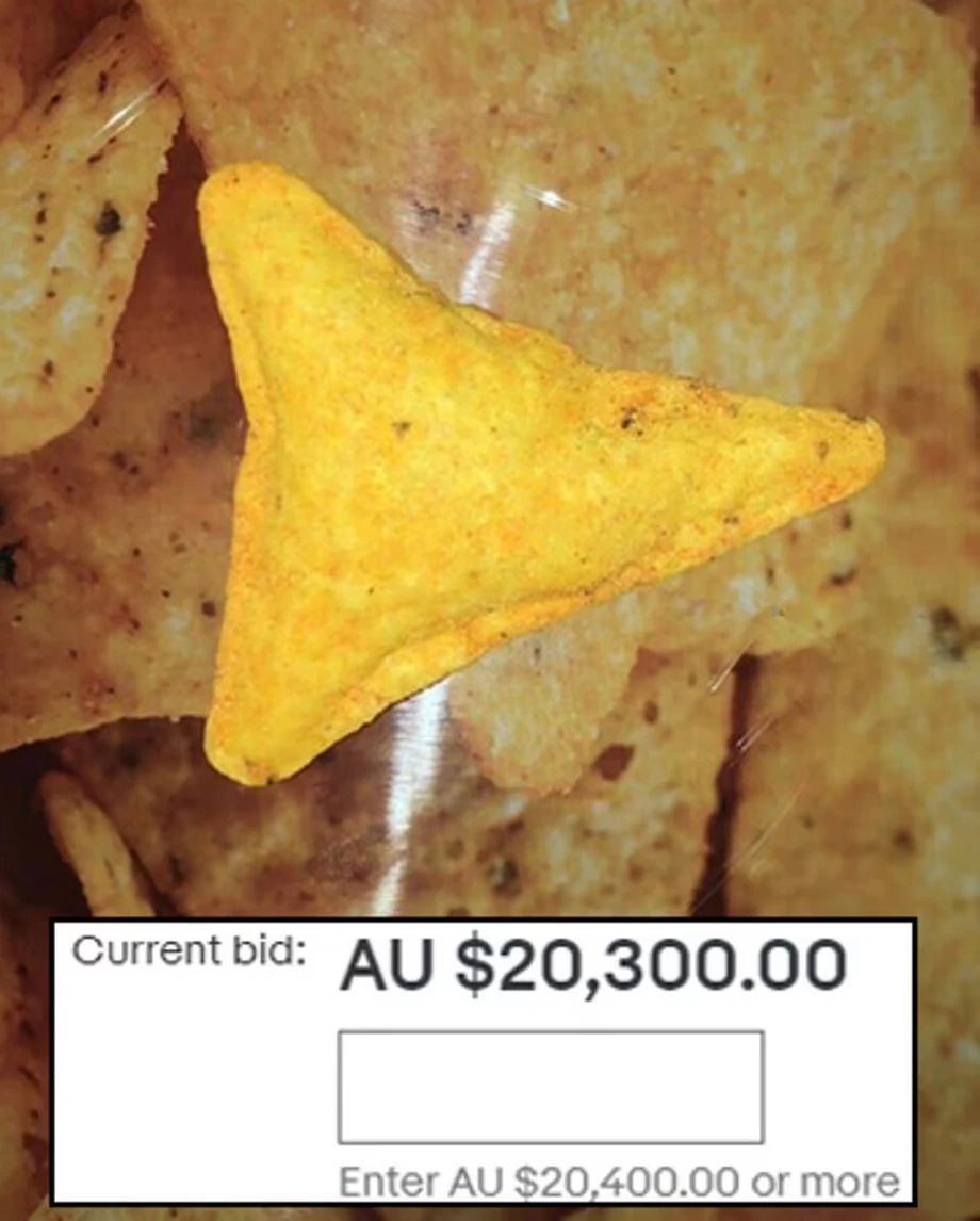 Yall wtf should i bid my chip- | Fandom