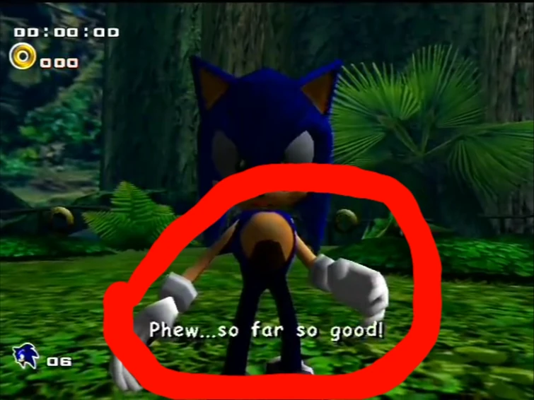 Dreamcast version of Sonic Adventure 2: "Character shadow rendering is ...