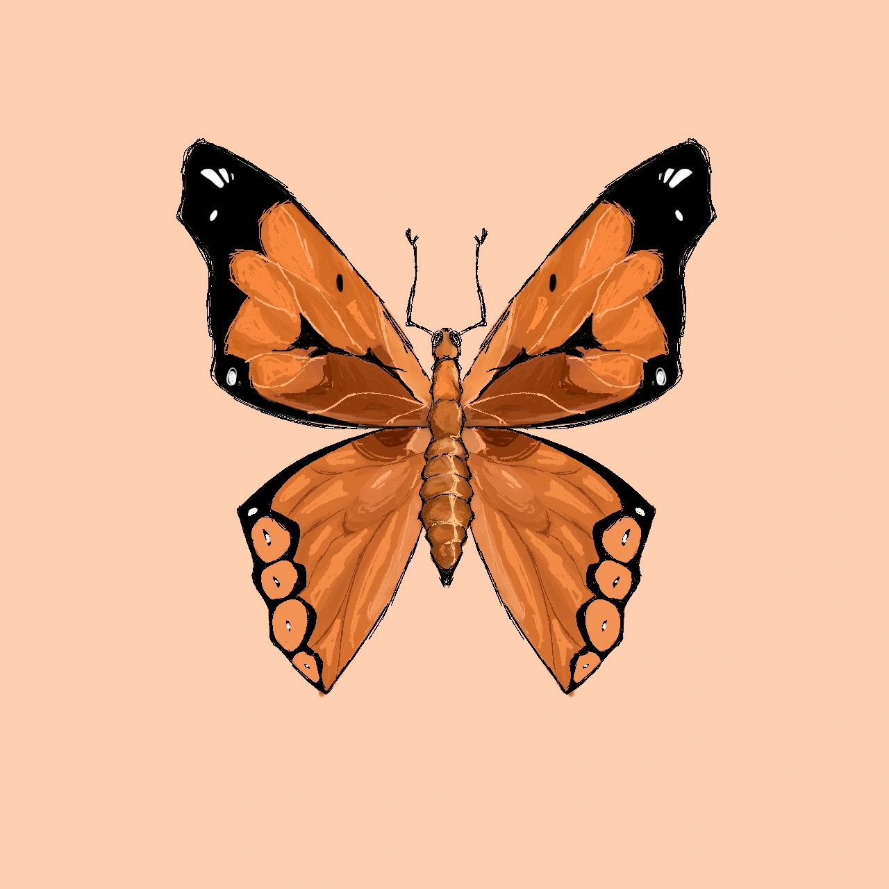 TO-BE PINNED . | Fandom