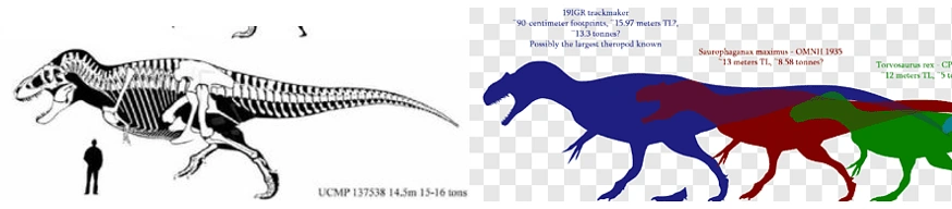 UCMP 137538 vs 191GR trackmaker Size Comparison | Fandom