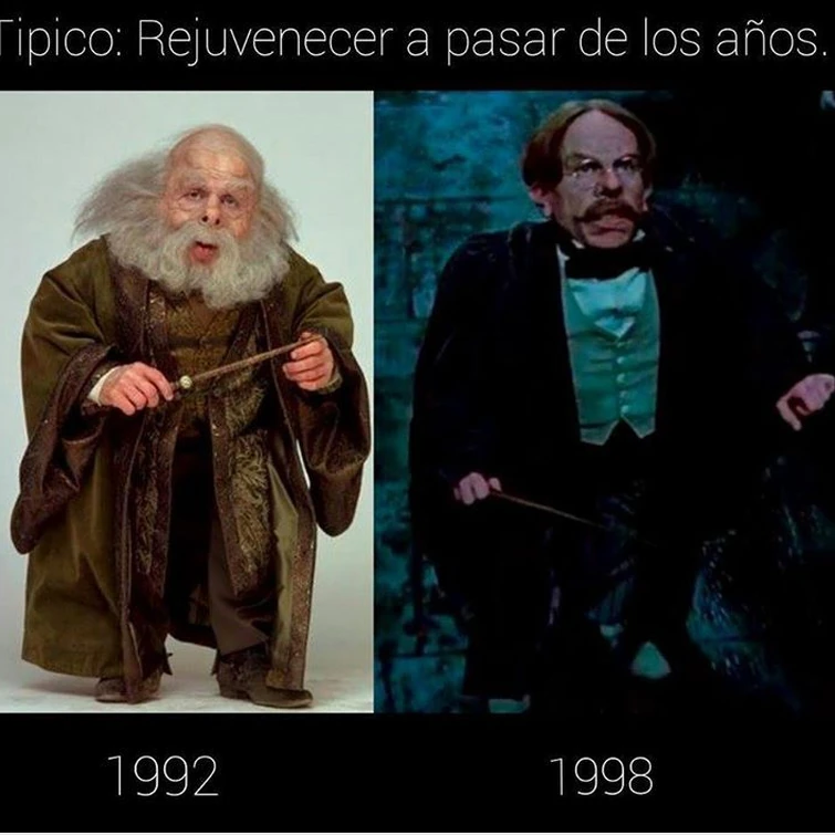 El curioso caso de Filius Flitwick | Fandom