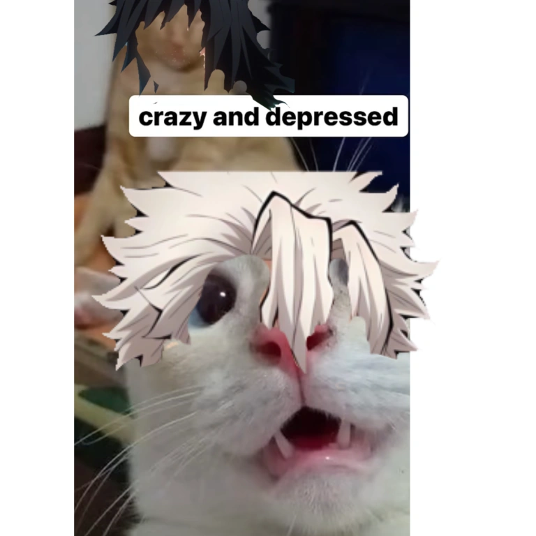 Just some meme | Fandom