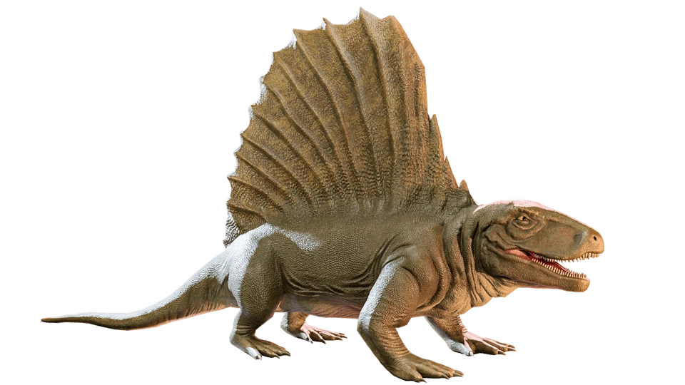 Xenarthra Dinopedia Fandom