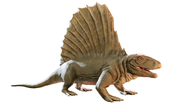 Dinopedia 3D Update | Fandom