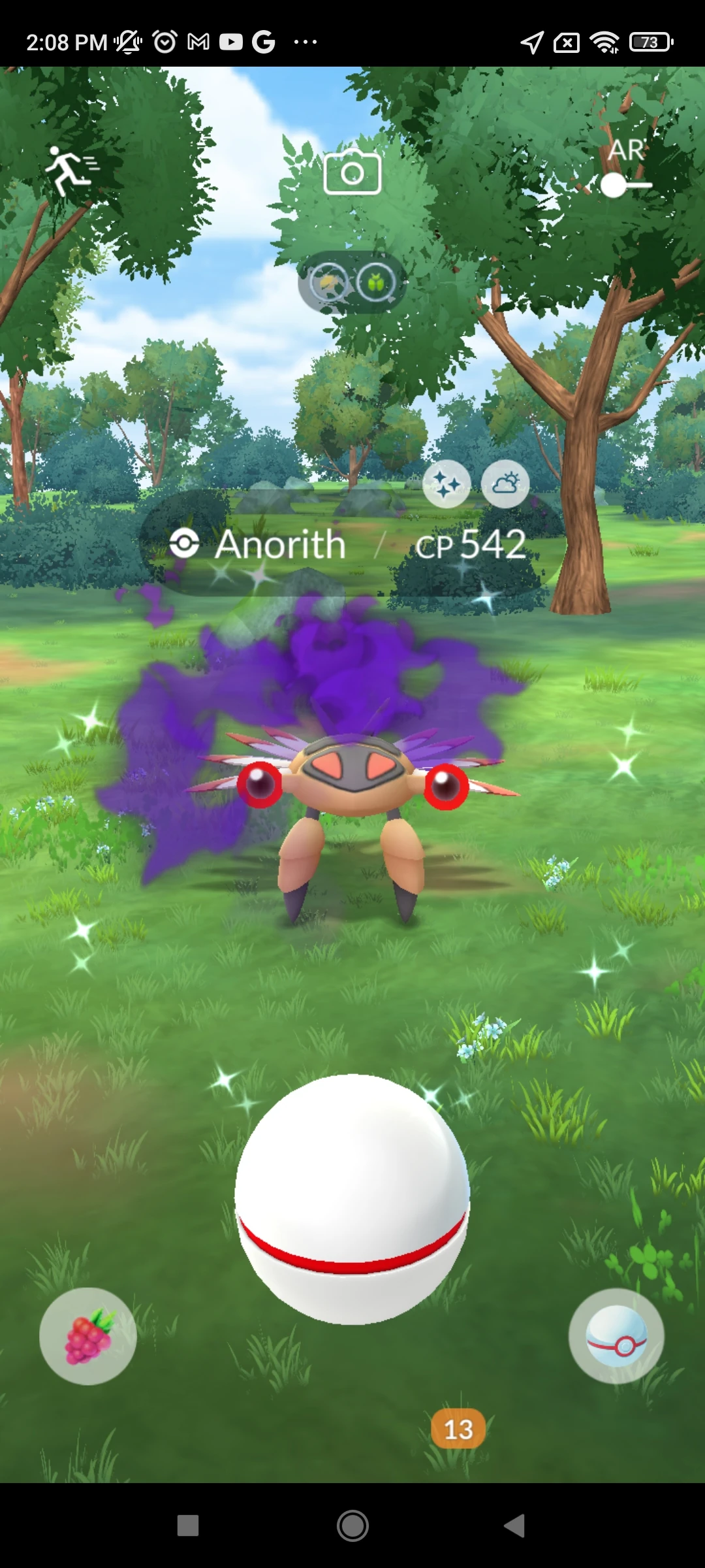 Shiny Shadow Anorith! | Fandom