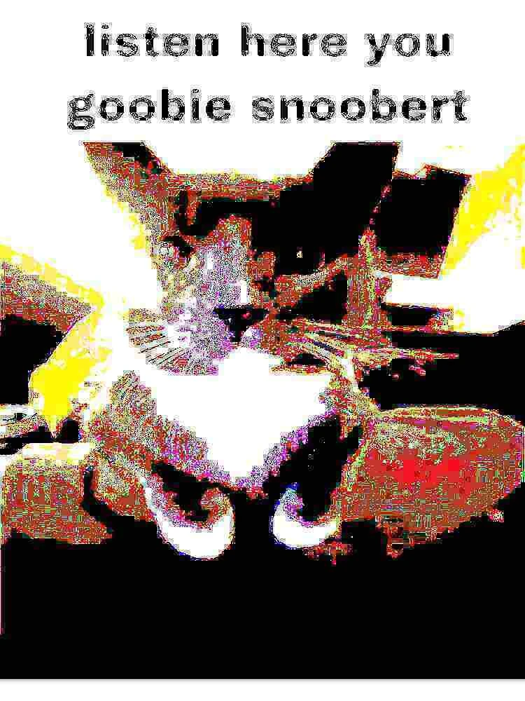 YOU ALL ARE GOOBIE SNOOBERTS | Fandom